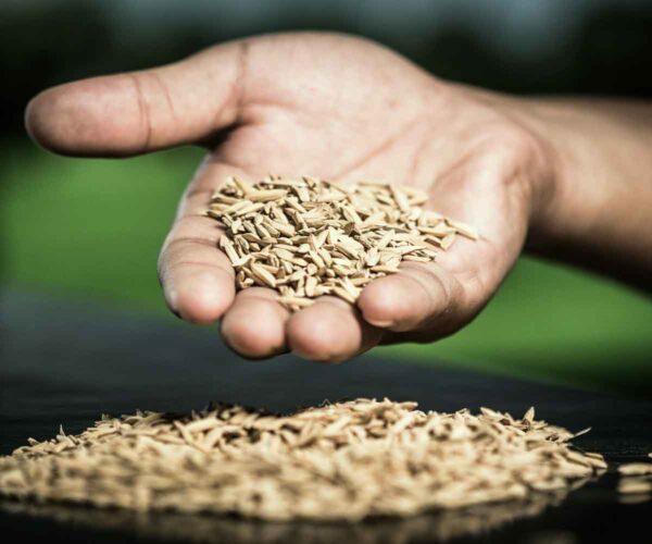 SECOSA – Grupo Calesa