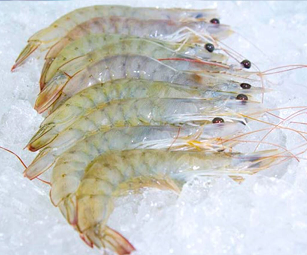 Camarón – Grupo Calesa