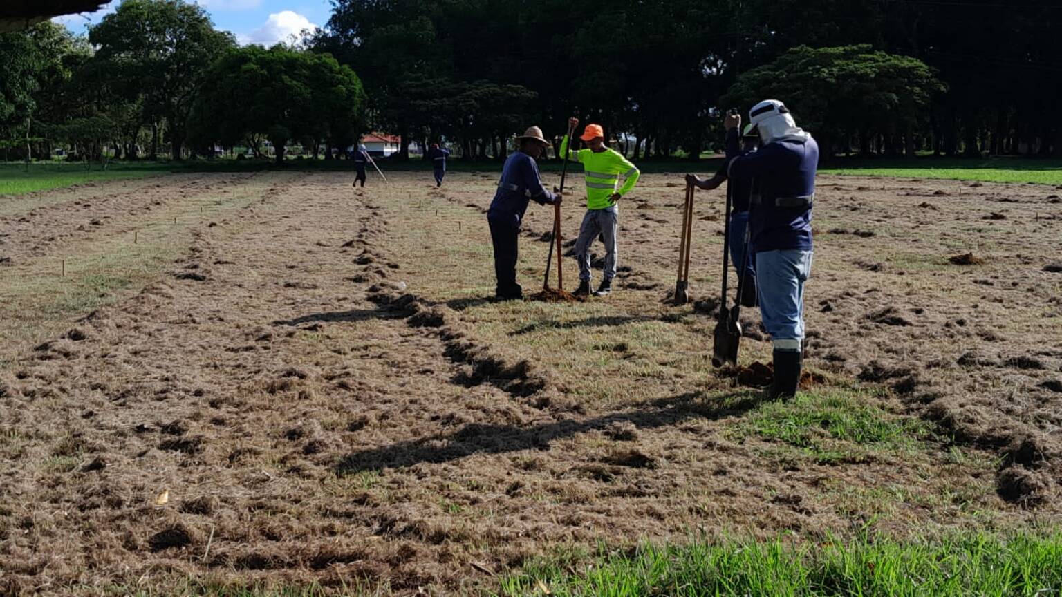 Jornada de Reforestación Día Mundial del Medio Ambiente – Grupo Calesa